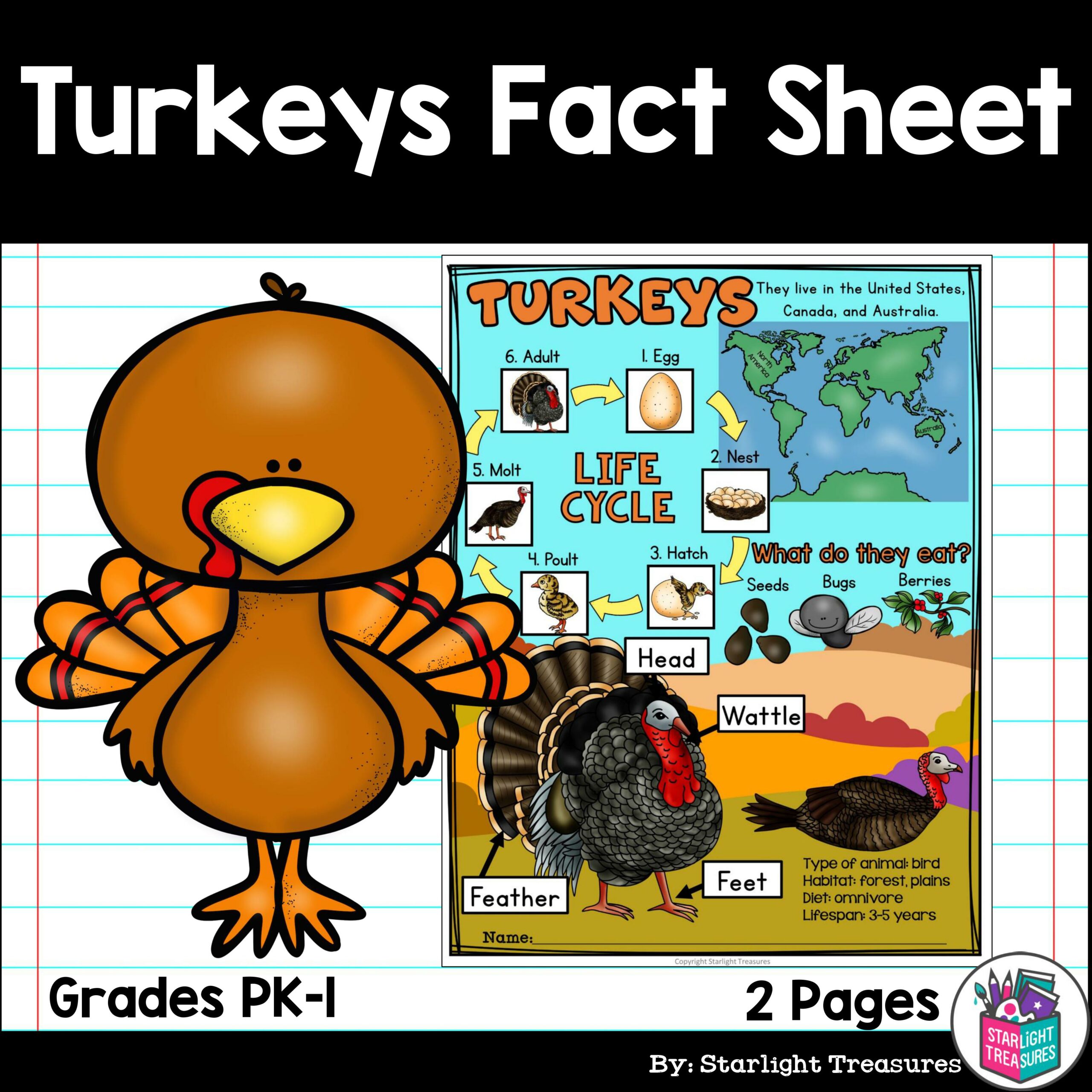 Turkeys Fact Sheet for Early Readers - Animal Study | Made By Teachers