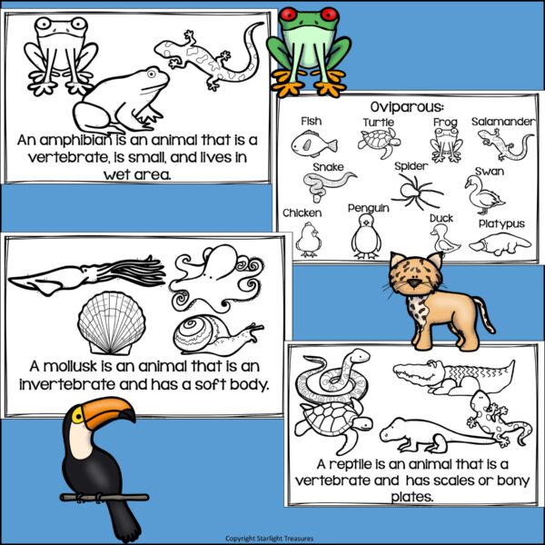 Animal Groups Mini Book for Early Readers: Animal Classifications ...