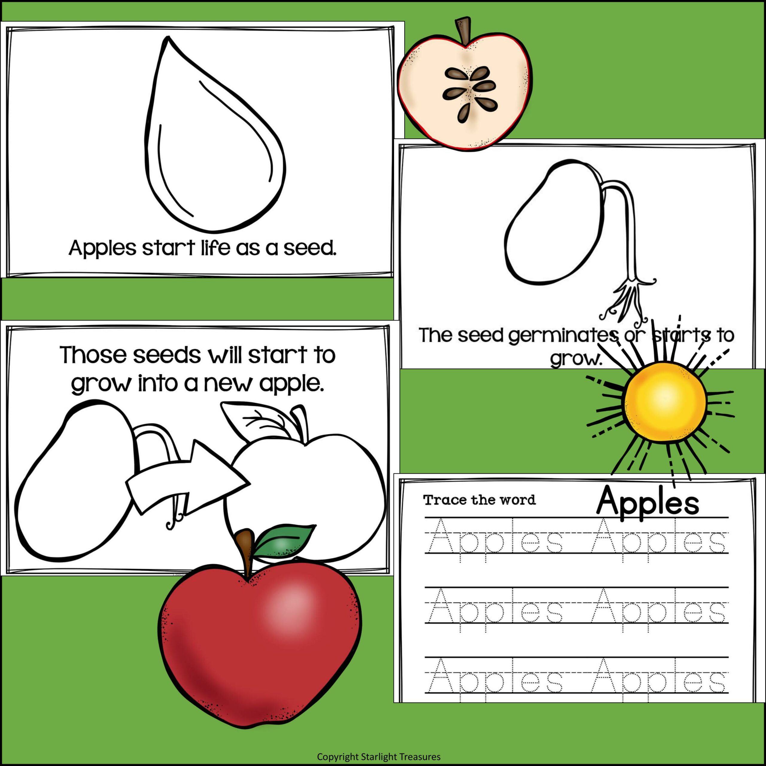 Apples Mini Book for Early Readers | Made By Teachers