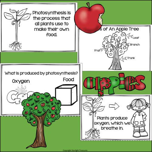 Apples Mini Book for Early Readers | Made By Teachers