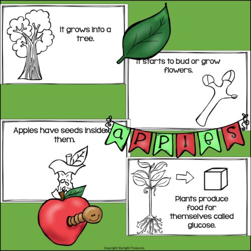 Apples Mini Book for Early Readers | Made By Teachers
