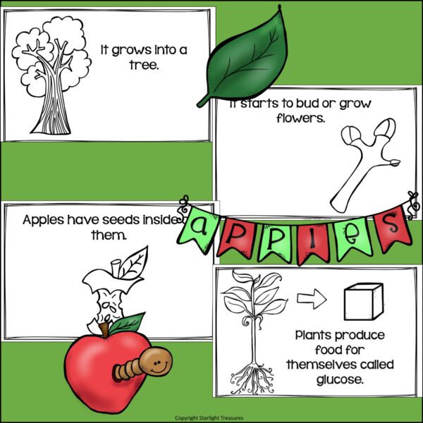 Apples Mini Book for Early Readers - Made By Teachers