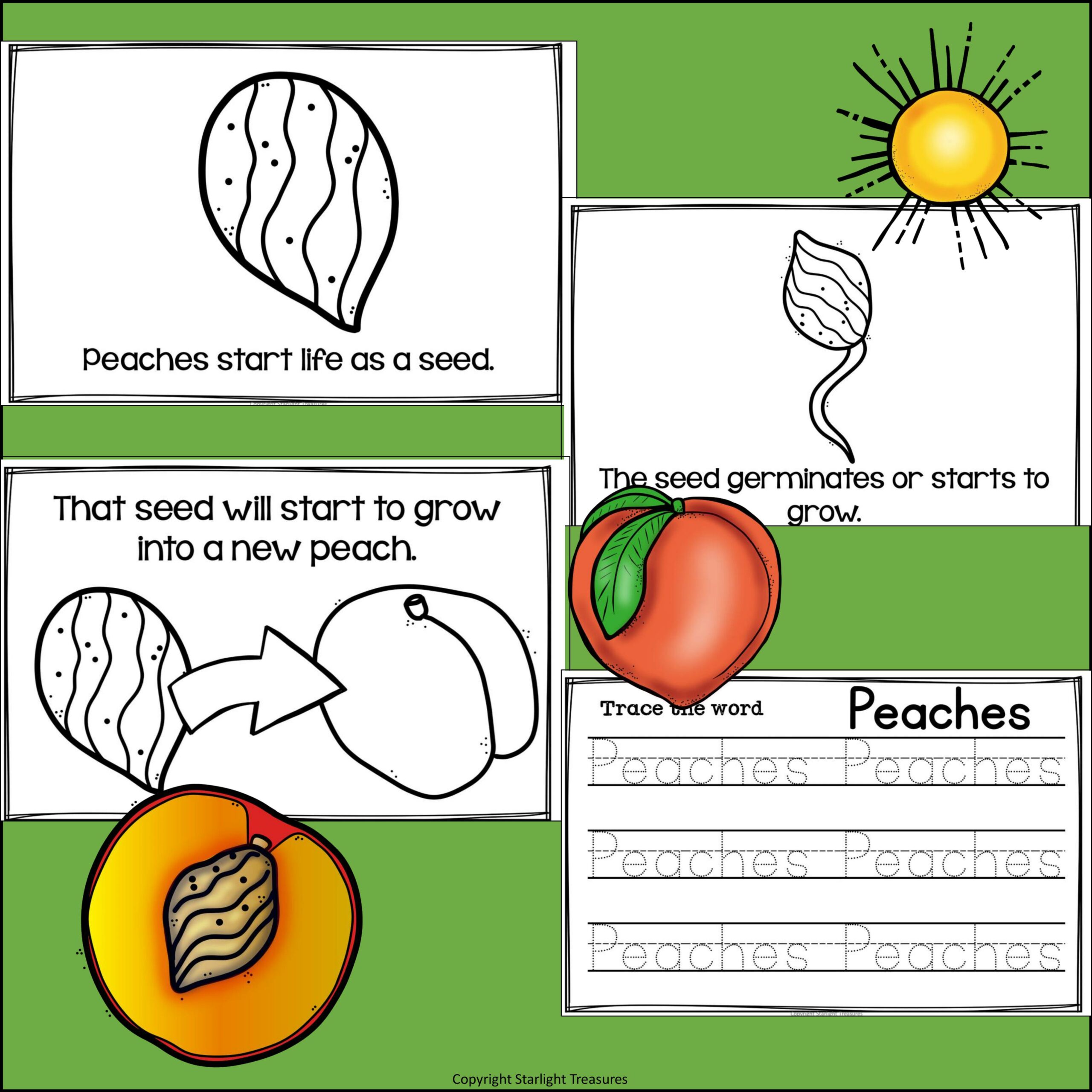 Peach Mini Book for Early Readers | Made By Teachers