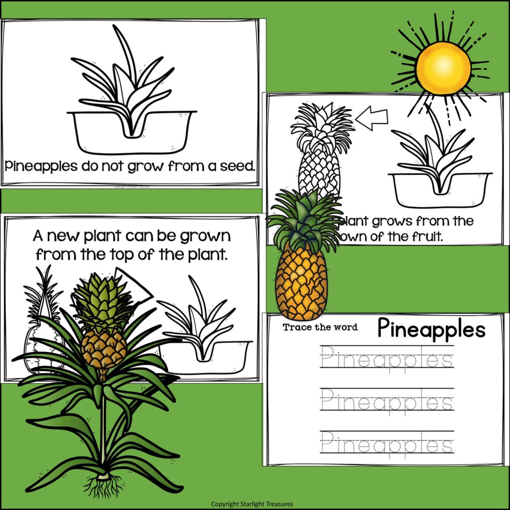 Pineapples Mini Book for Early Readers | Made By Teachers