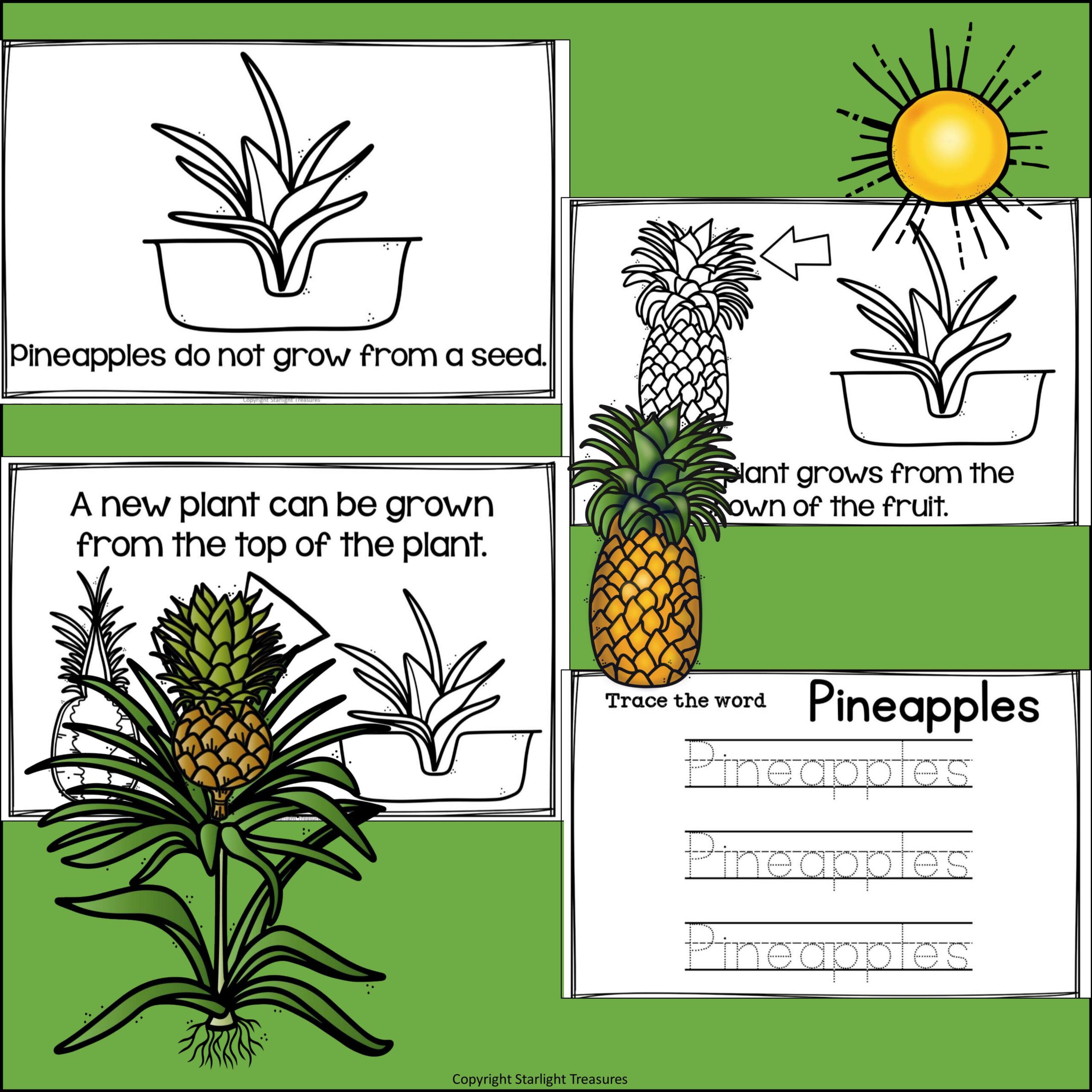 Pineapples Mini Book for Early Readers | Made By Teachers