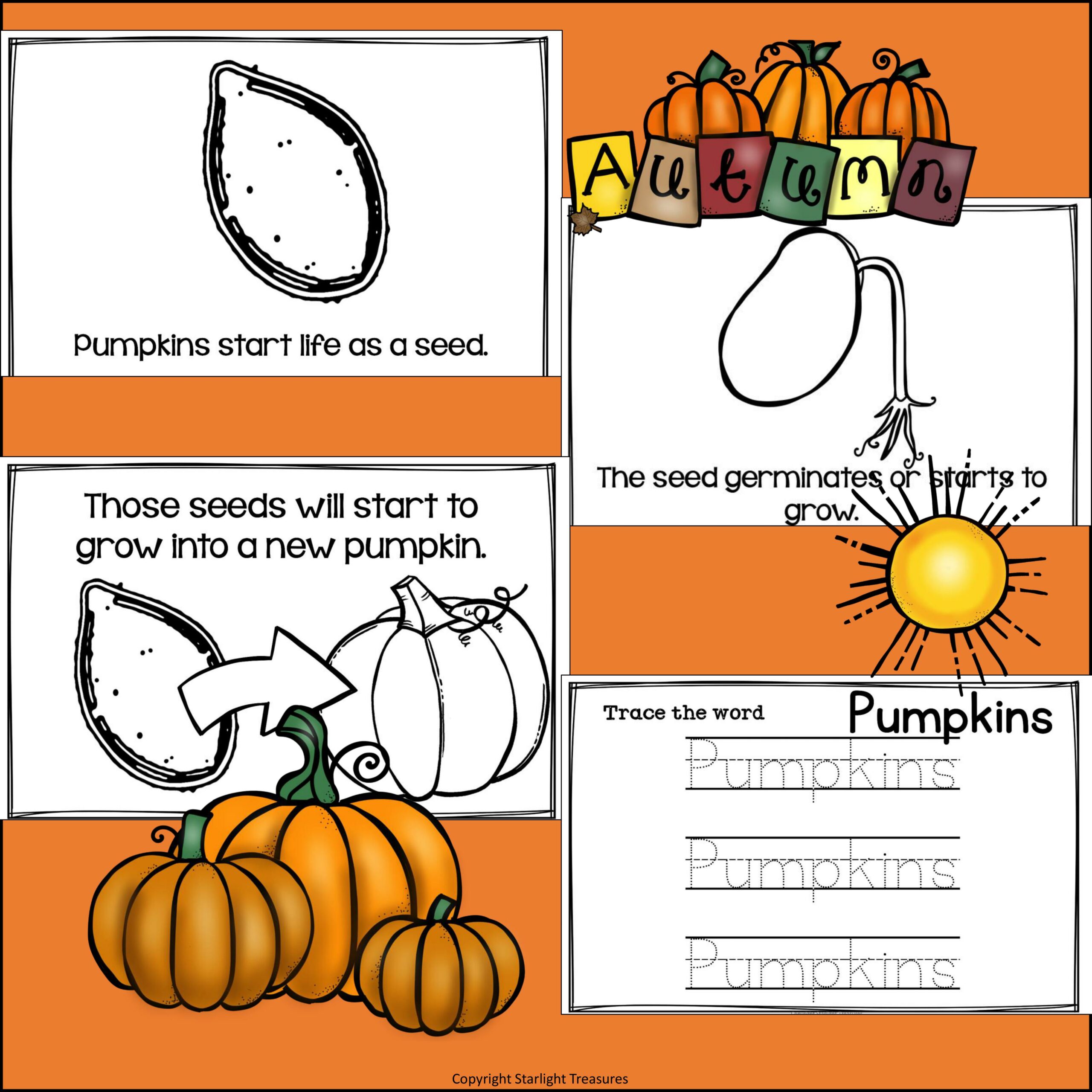 Pumpkins Mini Book for Early Readers | Made By Teachers