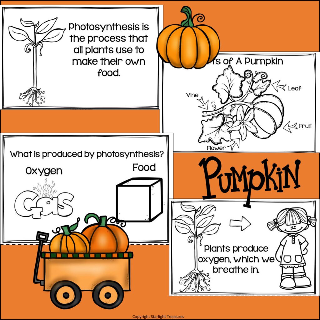 Pumpkins Mini Book for Early Readers | Made By Teachers