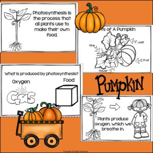 Pumpkins Mini Book for Early Readers | Made By Teachers