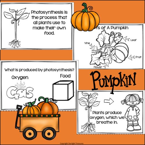 Pumpkins Mini Book for Early Readers | Made By Teachers