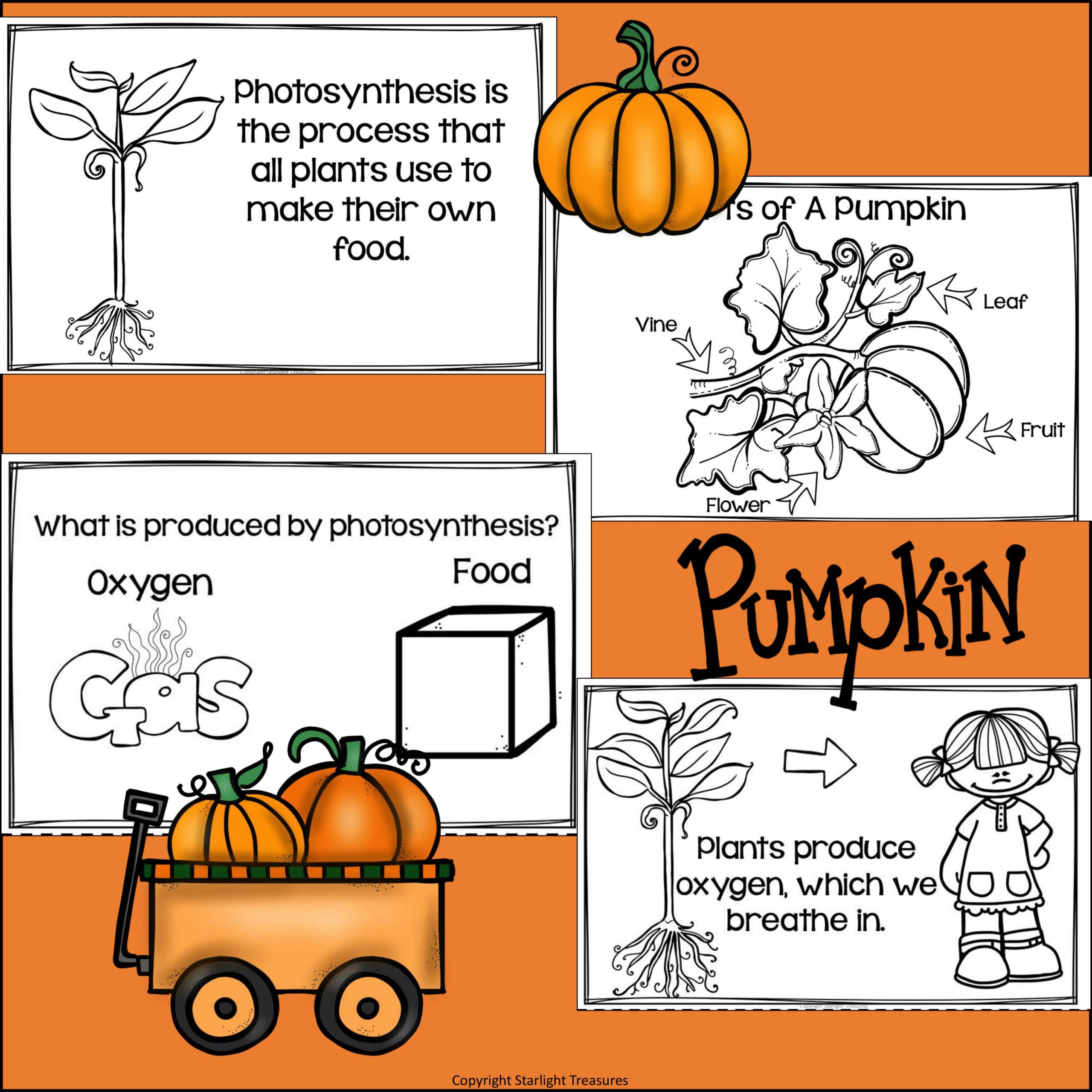 Pumpkins Mini Book for Early Readers | Made By Teachers
