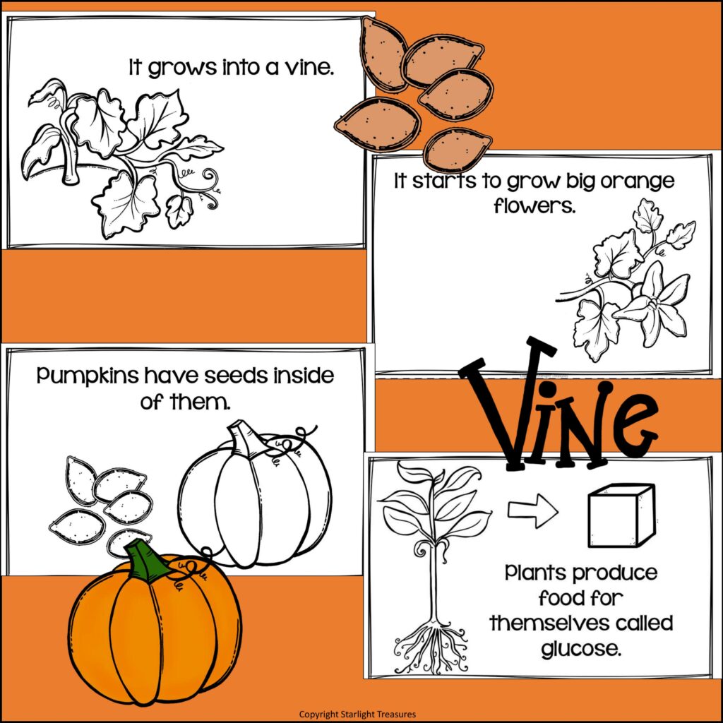 Pumpkins Mini Book for Early Readers | Made By Teachers