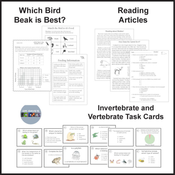 Animal Structures Adaptations Activities and Resources 4th Grade NGSS ...