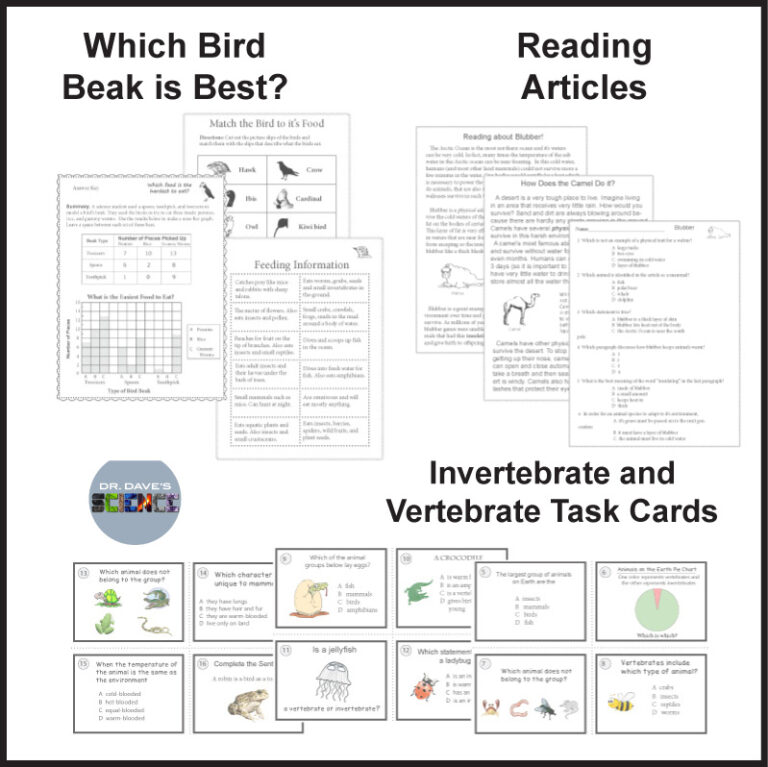 Animal Structures Adaptations Activities and Resources 4th Grade NGSS ...