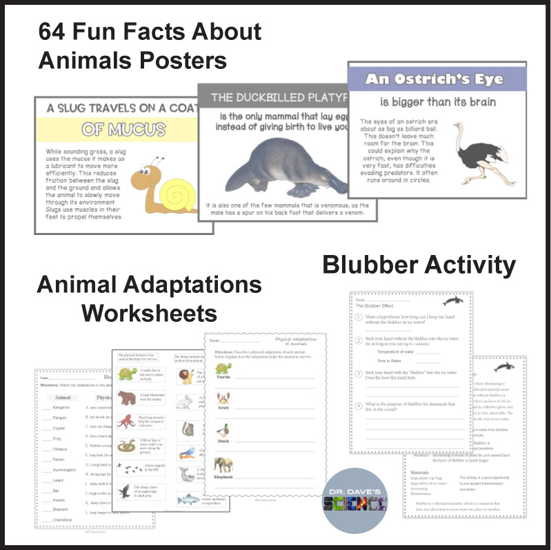 Animal Structures Adaptations Activities and Resources 4th Grade NGSS ...