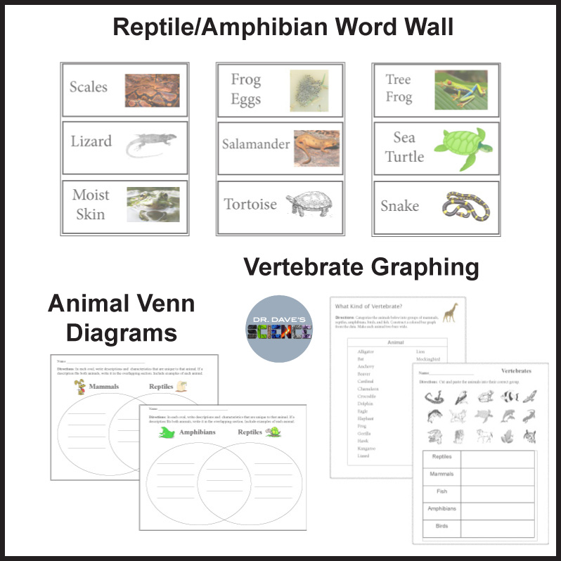 Animal Structures Adaptations Activities and Resources 4th Grade NGSS ...