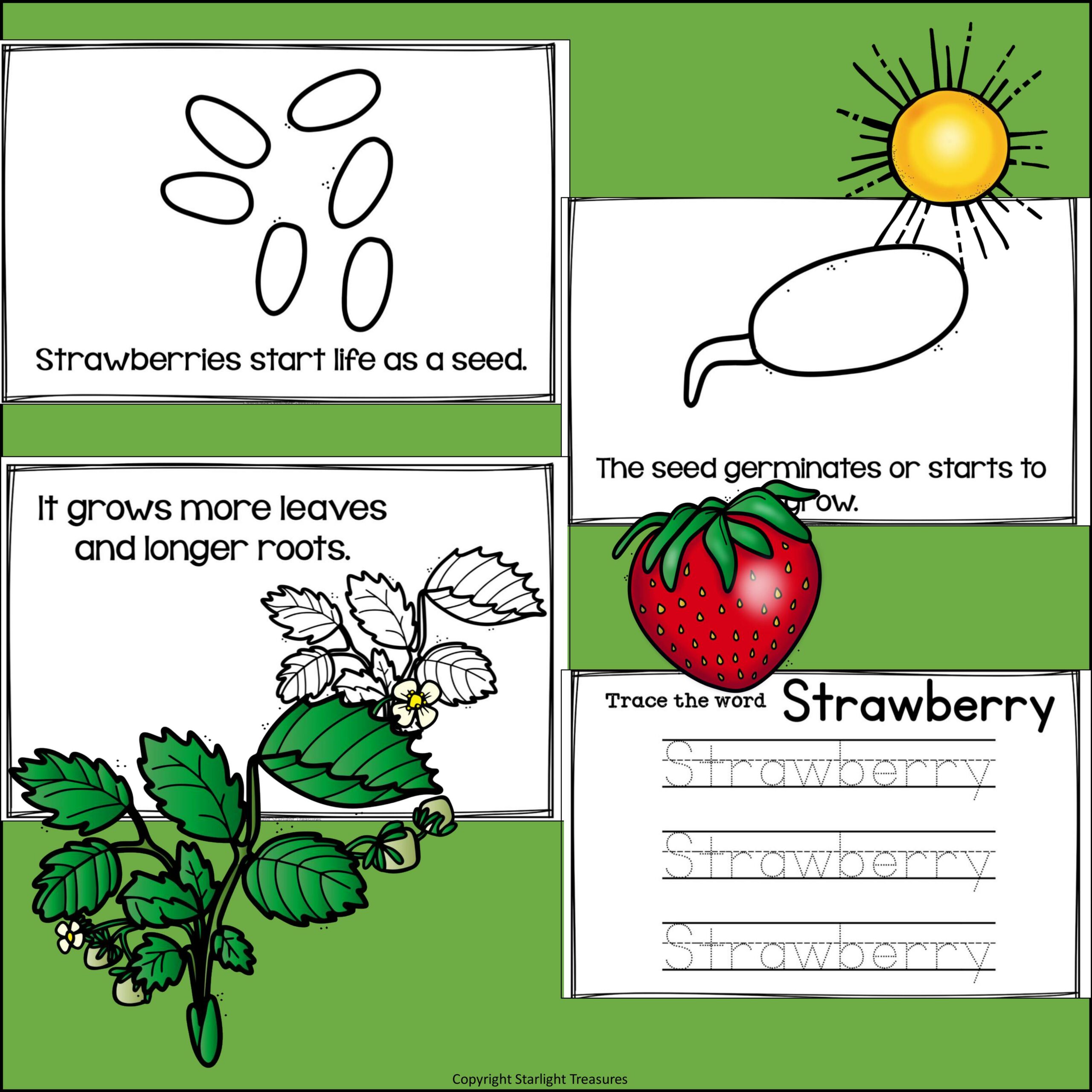 Strawberry Mini Book for Early Readers | Made By Teachers