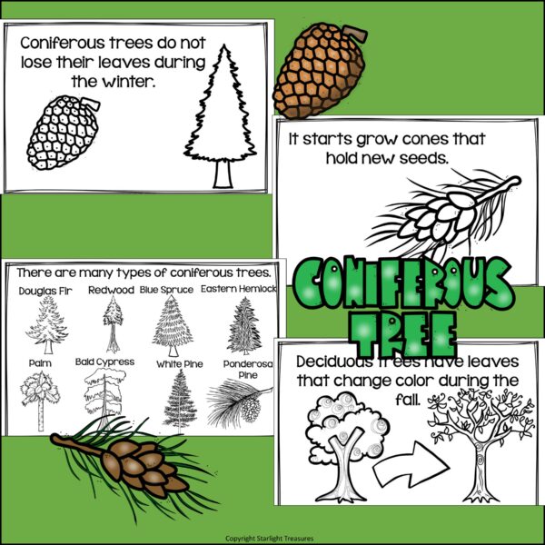 Trees Mini Book for Early Readers | Made By Teachers