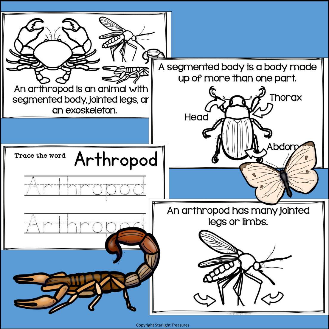 Arthropods Mini Book for Early Readers: Animal Groups and ...
