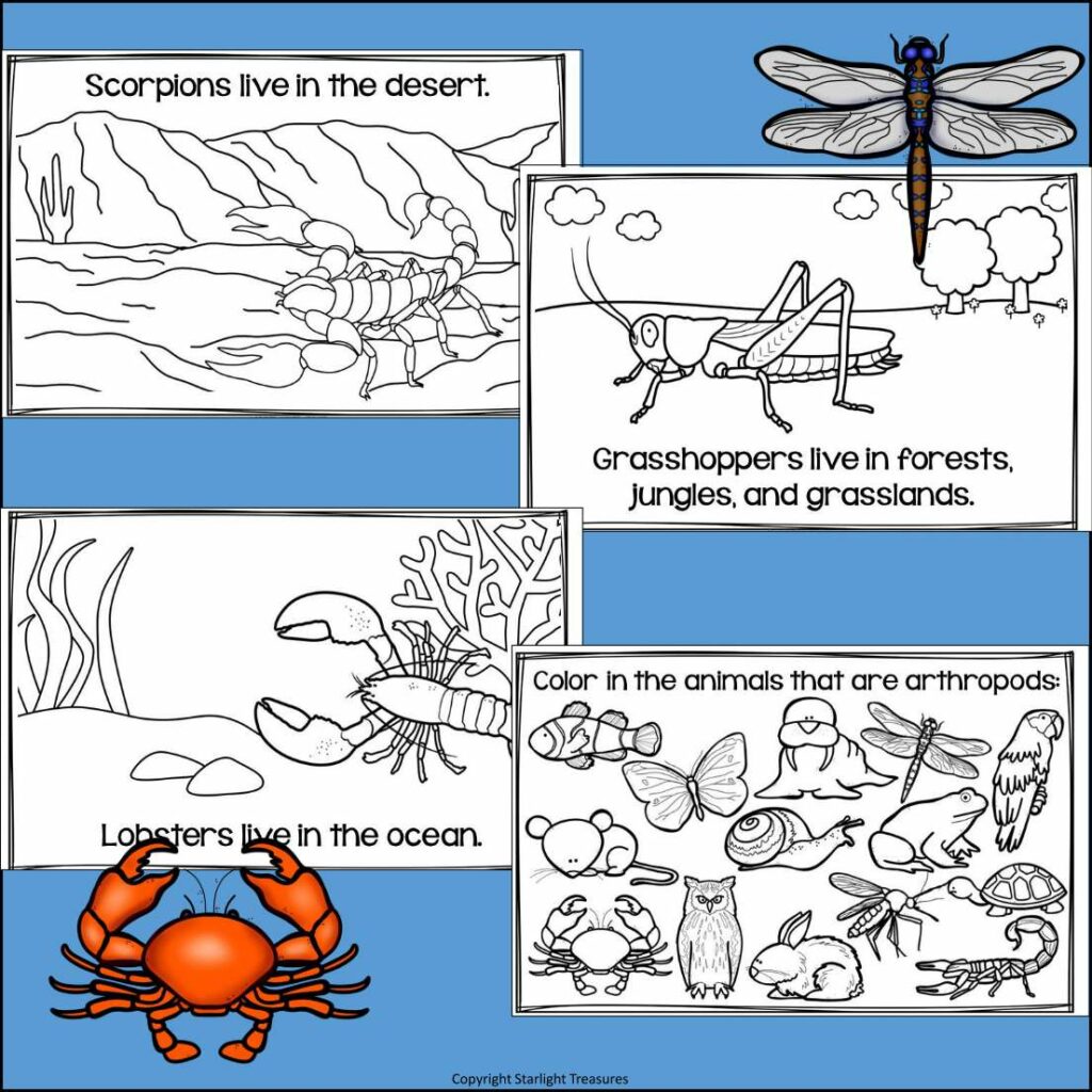 Arthropods Mini Book for Early Readers: Animal Groups and ...