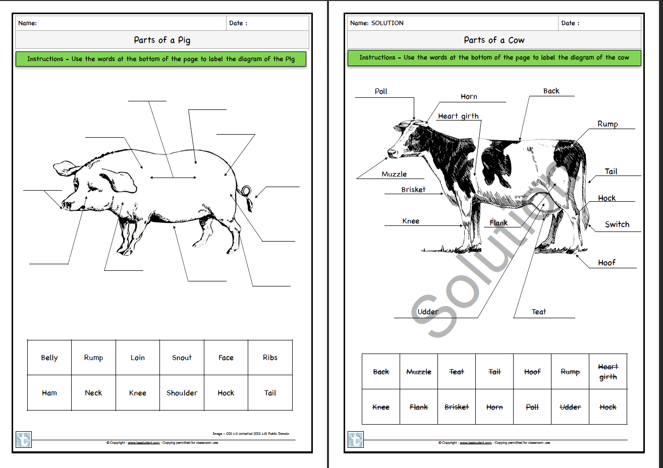 Lessons for Busy teachers - Animal Production 1 - Set 2 | Made By Teachers