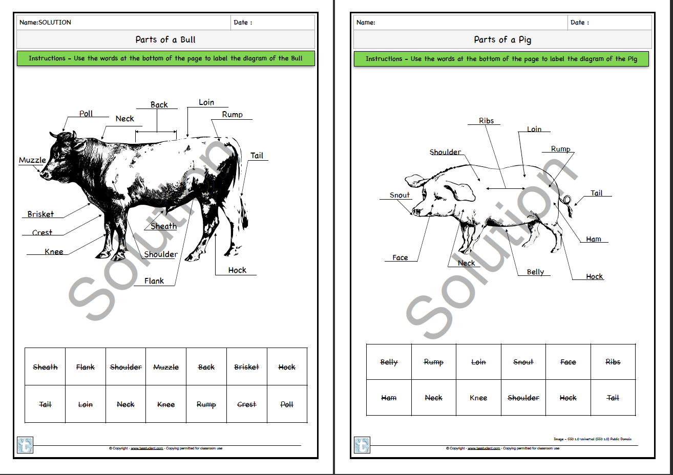 Lessons for Busy teachers - Animal Production 1 - Set 2 | Made By Teachers