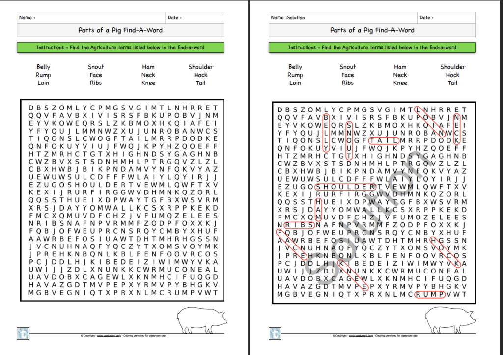 Lessons for Busy teachers - Animal Production 1 - Set 2 | Made By Teachers