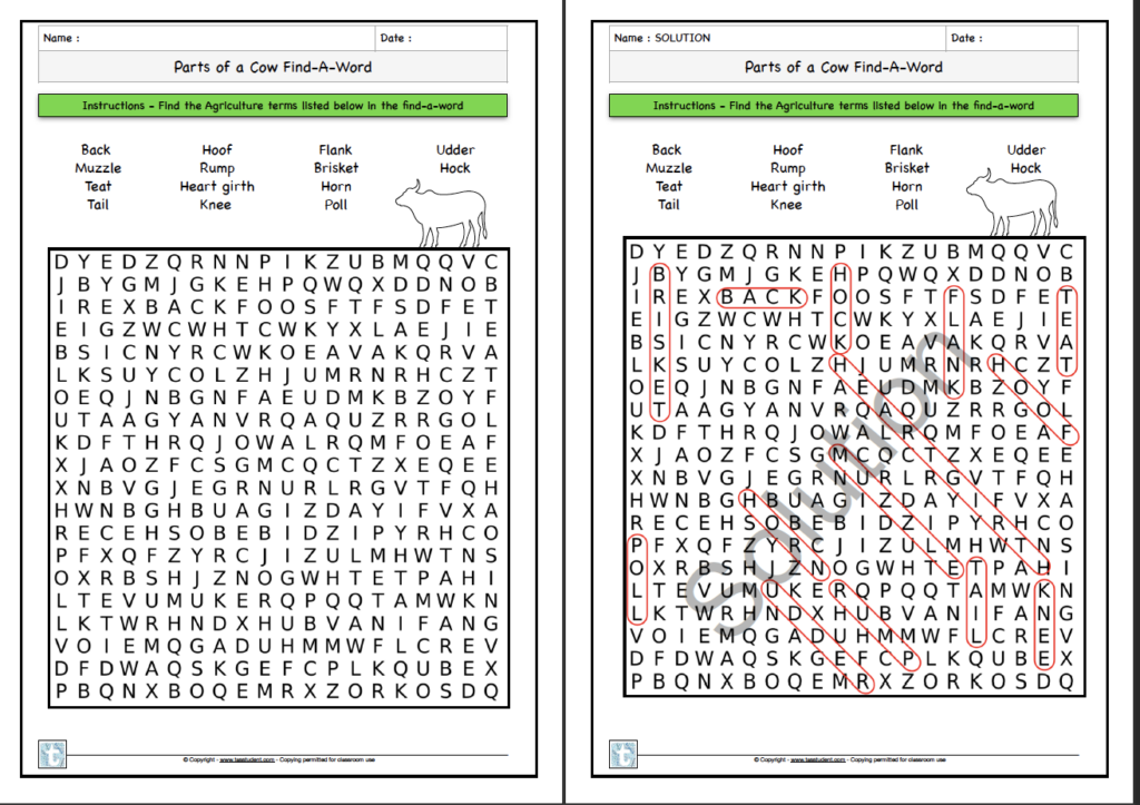 Lessons for Busy teachers - Animal Production 1 - Set 2 | Made By Teachers