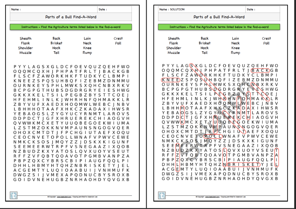Lessons for Busy teachers - Animal Production 1 - Set 2 | Made By Teachers
