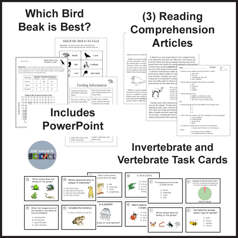 Animal Structures Adaptations Unit Bundle 4th Grade Science NGSS | Made ...