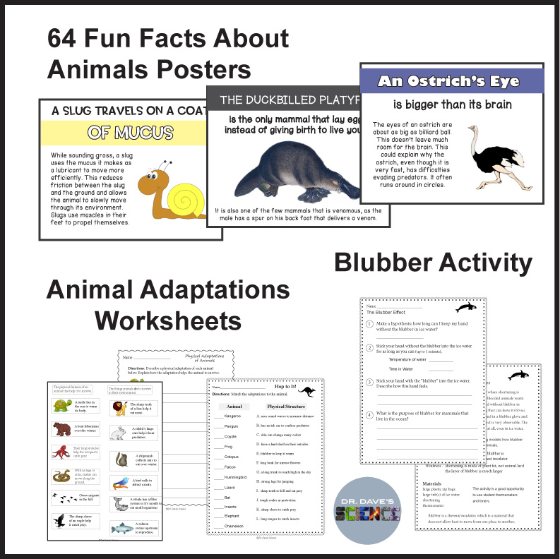 Animal Structures Adaptations Unit Bundle 4th Grade Science NGSS | Made ...