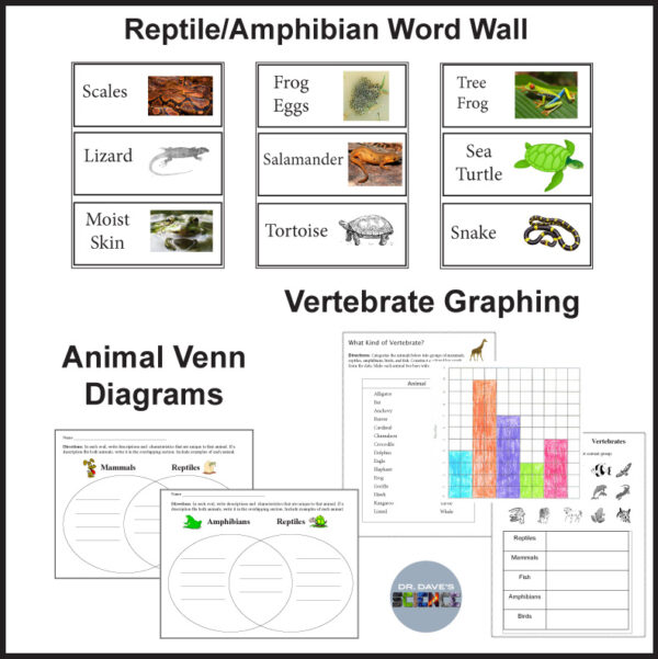 Animal Structures Adaptations Unit Bundle 4th Grade Science NGSS | Made ...
