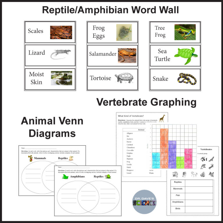 Animal Structures Adaptations Unit Bundle 4th Grade Science NGSS | Made ...