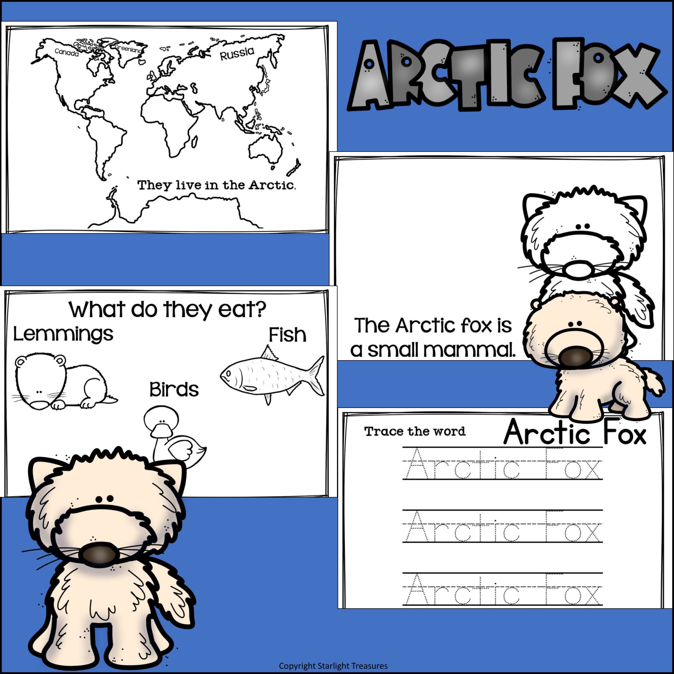 Arctic Fox Mini Book for Early Readers - Animal Study | Made By Teachers