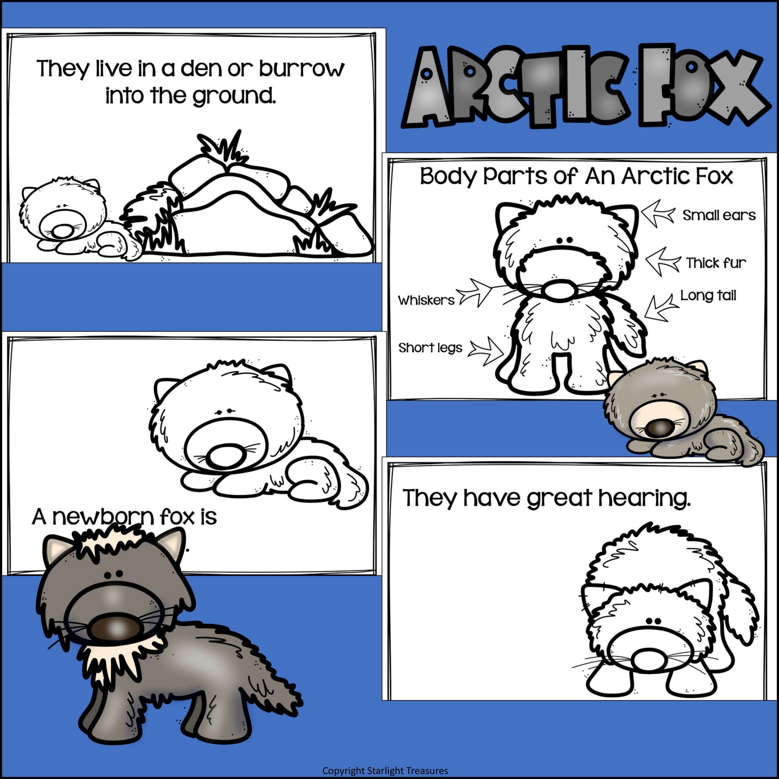 Arctic Fox Mini Book for Early Readers - Animal Study | Made By Teachers