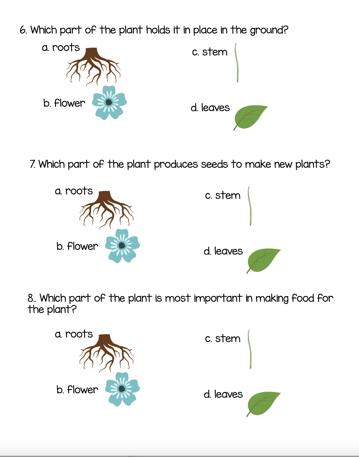 First Grade Plant Test | Made By Teachers