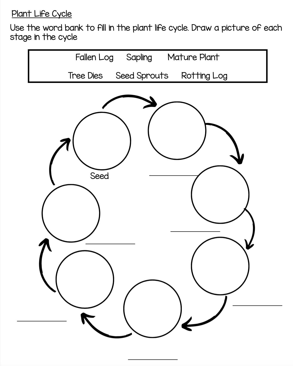 First Grade Plant Test | Made By Teachers