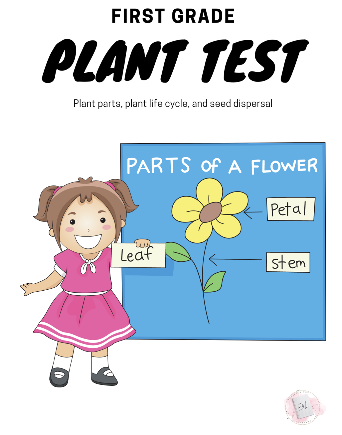 First Grade Plant Test | Made By Teachers