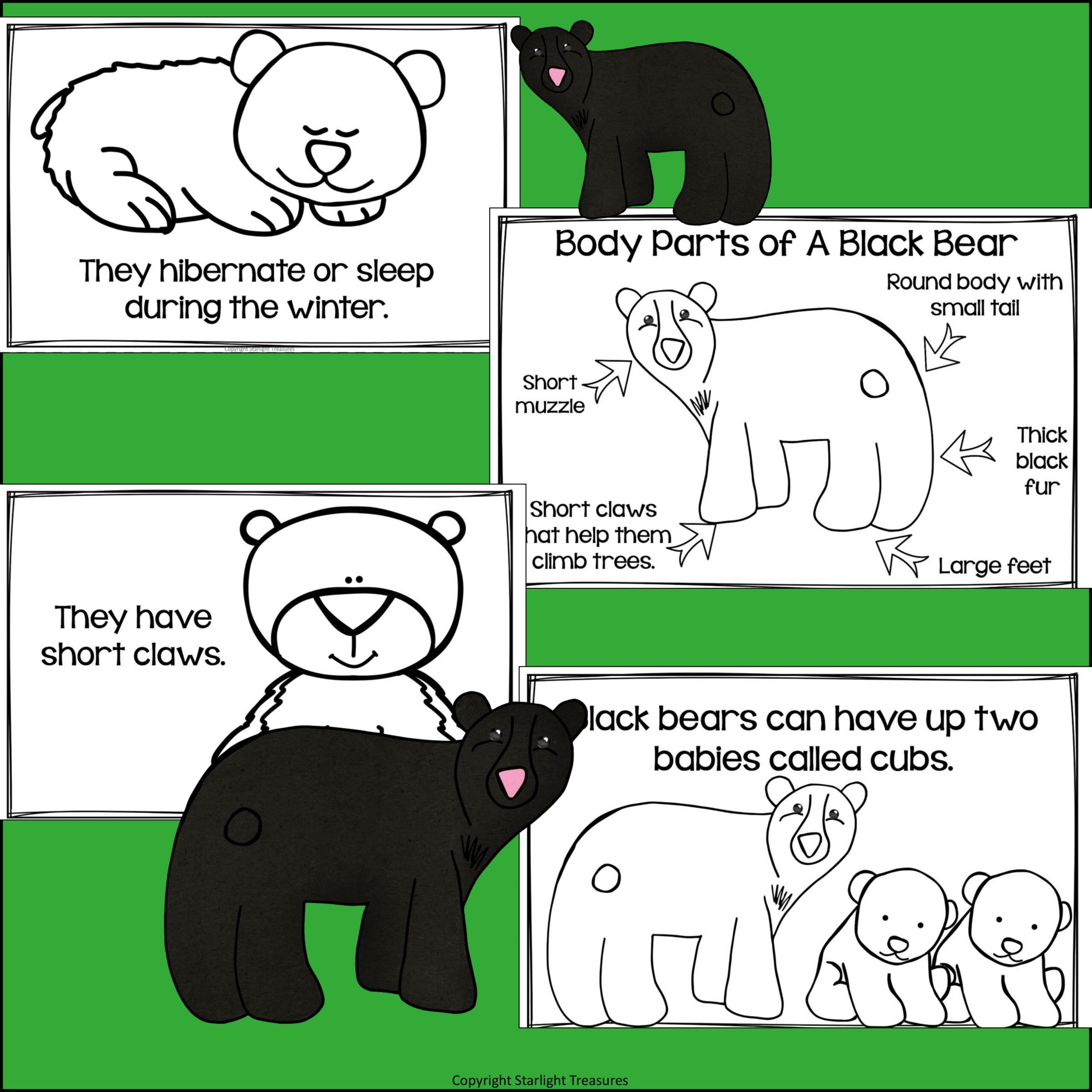 Black Bears Mini Book for Early Readers - Animal Study | Made By Teachers