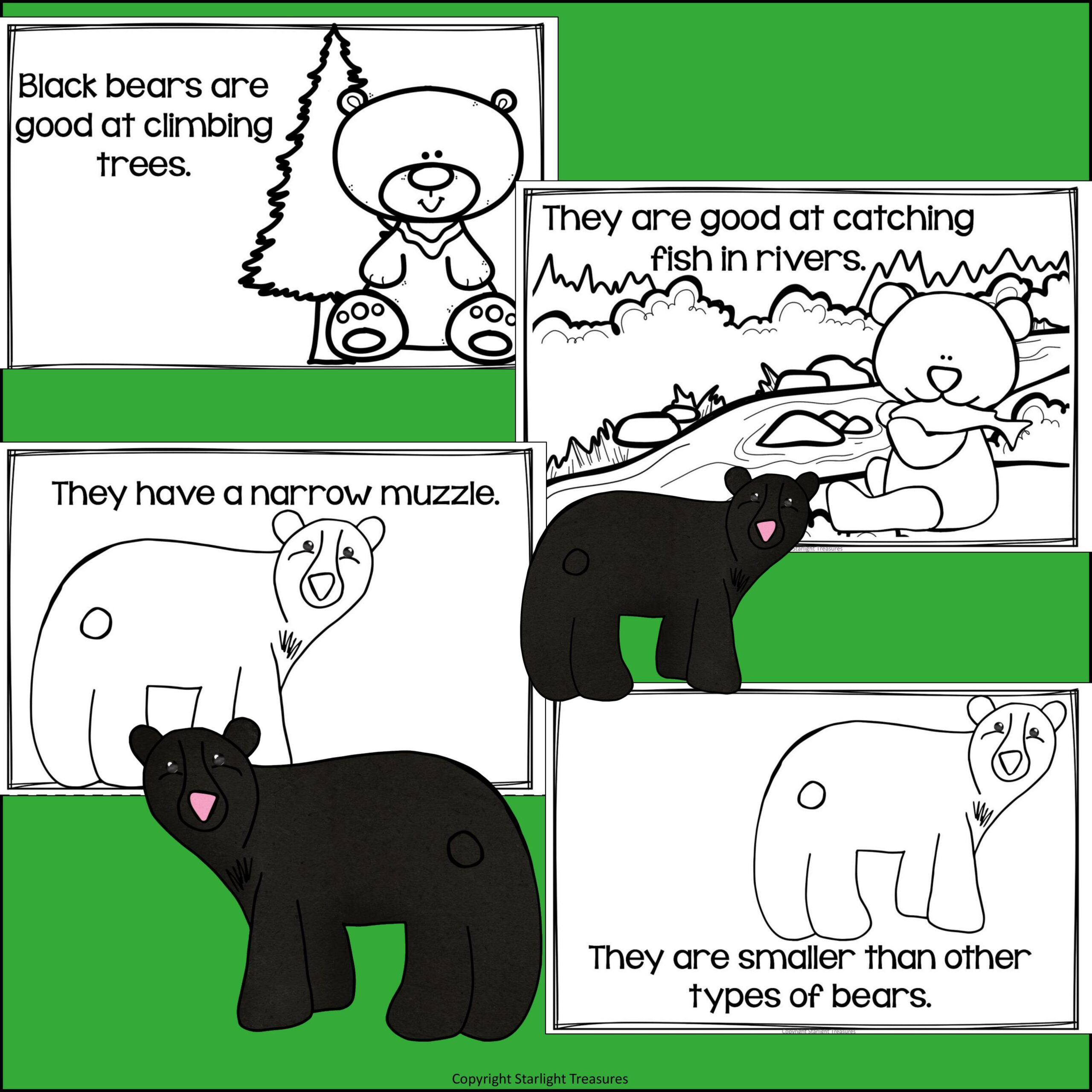 Black Bears Mini Book for Early Readers - Animal Study | Made By Teachers