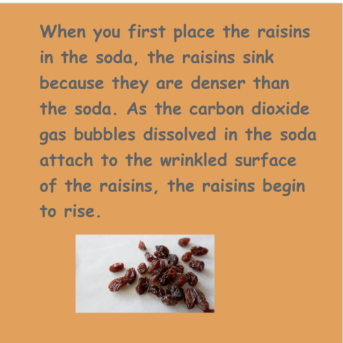 DANCING RAISINS SCIENCE EXPERIMENT FUN | Made By Teachers