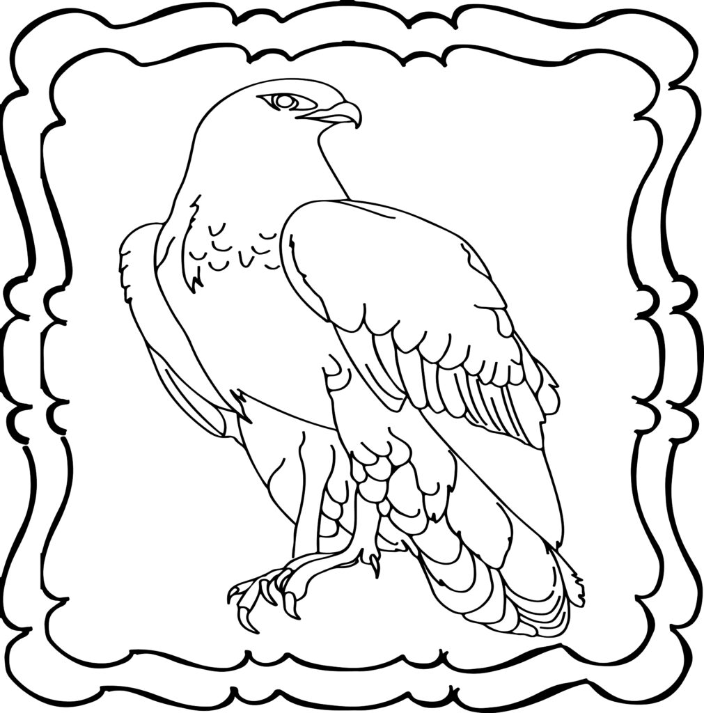 Eagle Coloring Book : Easy and Fun Eagles Coloring Book for Kids | Made ...