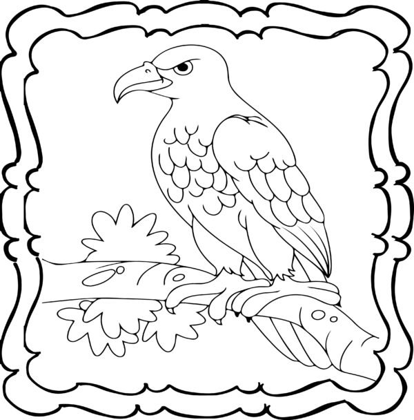 Eagle Coloring Book : Easy and Fun Eagles Coloring Book for Kids | Made ...