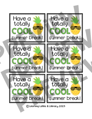 Summer Gift Tags For Students Mega Bundle End of School Year Candy ...