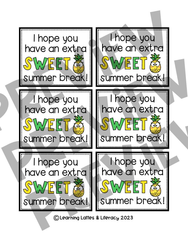Summer Gift Tags For Students Mega Bundle End of School Year Candy ...