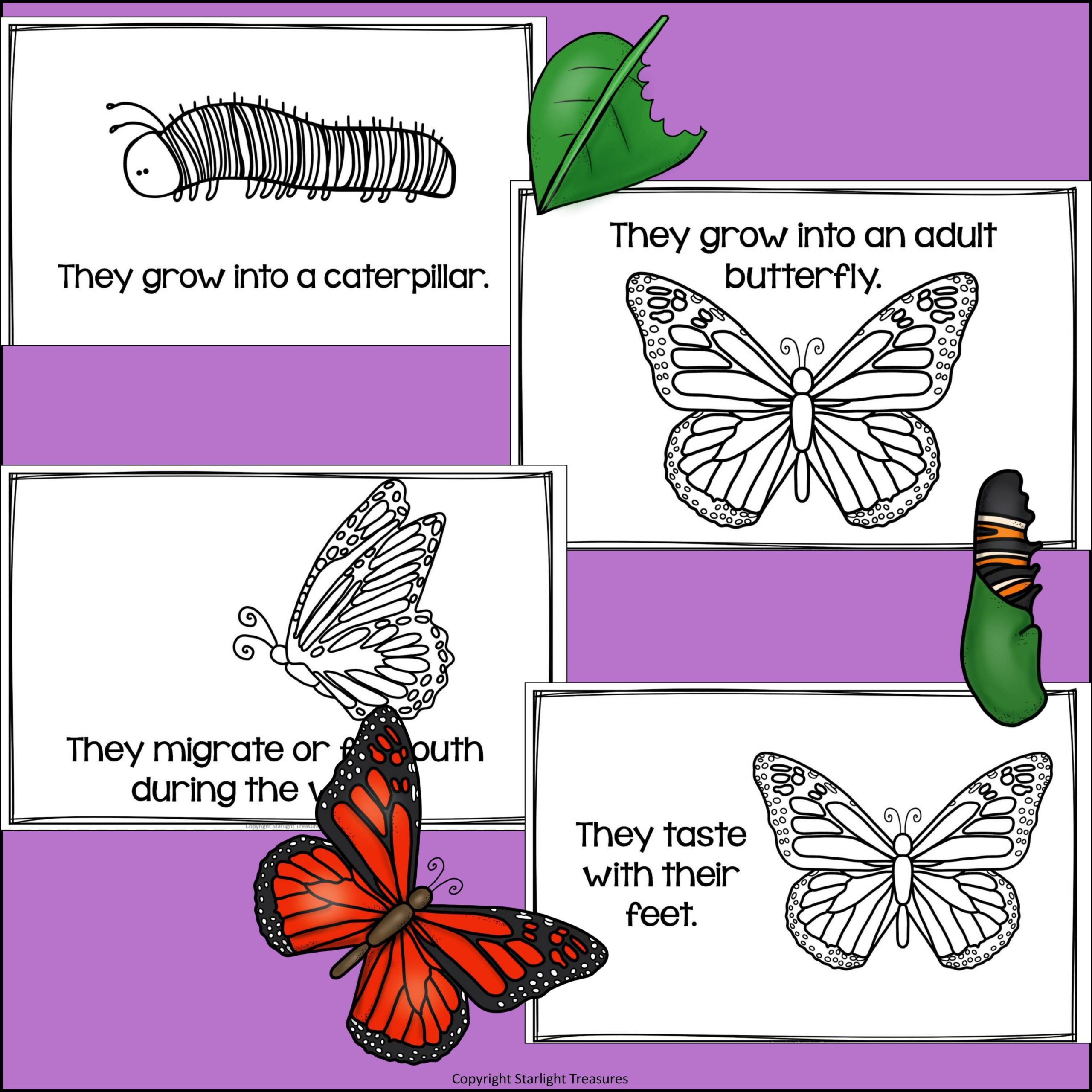 Butterflies Mini Book for Early Readers - Animal Study | Made By Teachers
