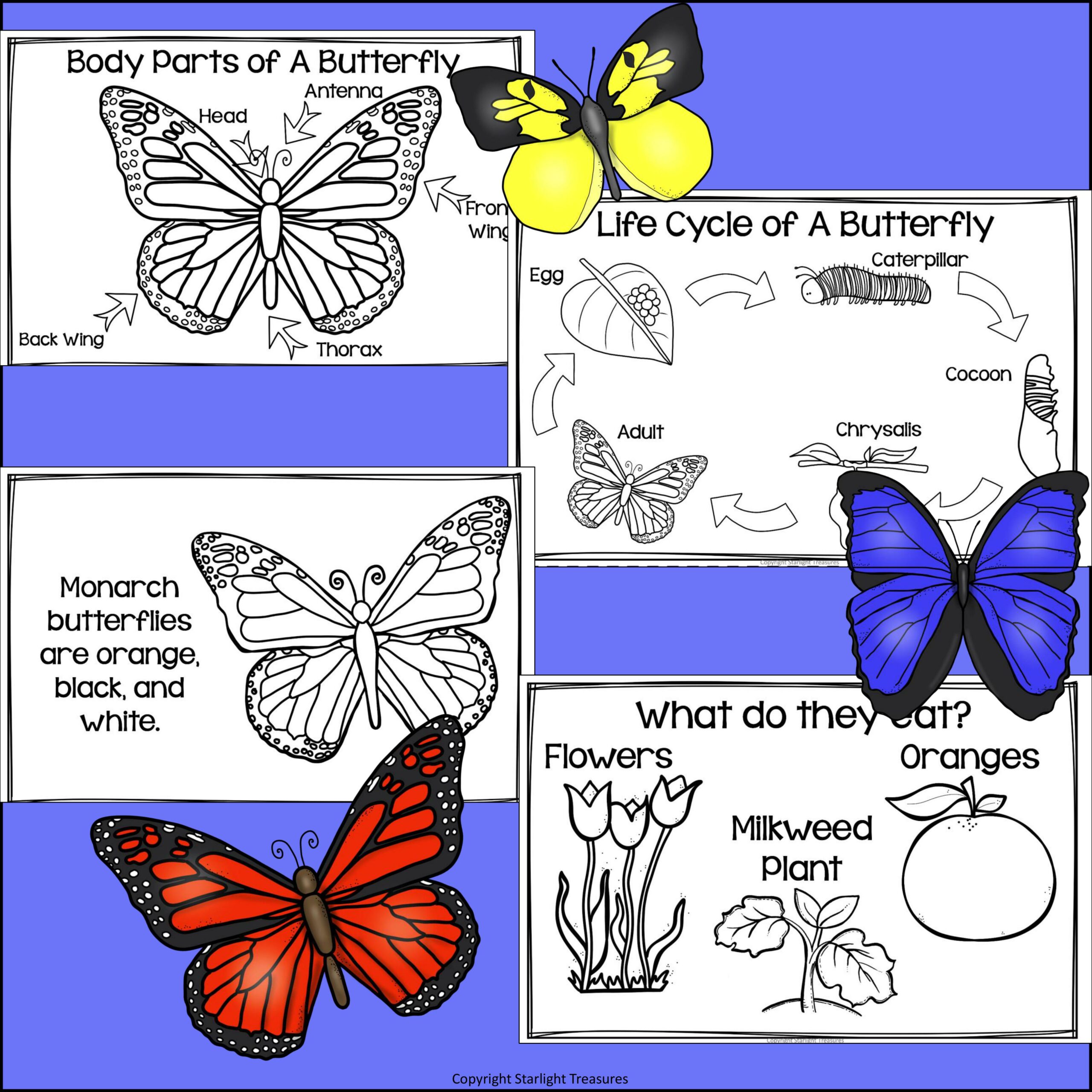 Types of Butterflies Mini Book for Early Readers - Animal Study | Made ...