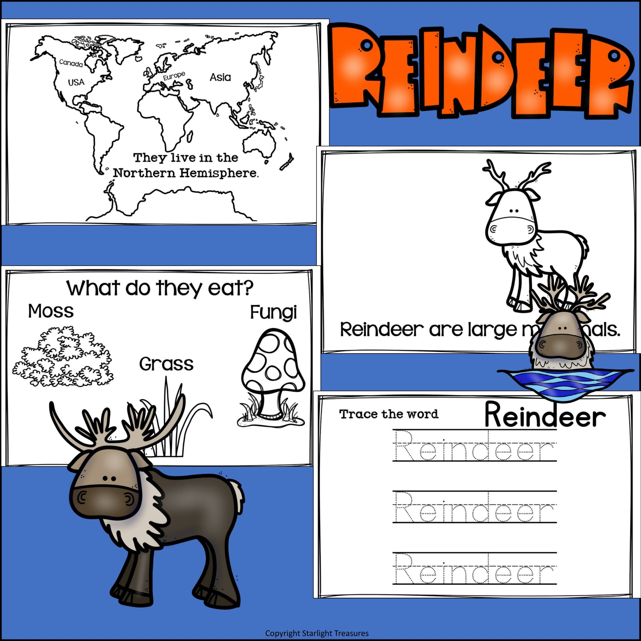 Reindeer Mini Book for Early Readers (Caribou) - Animal Study | Made By ...
