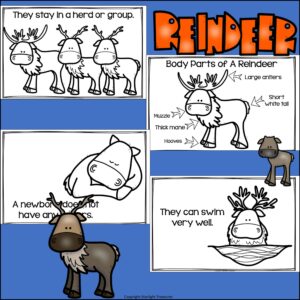 Reindeer Mini Book for Early Readers (Caribou) - Animal Study | Made By ...