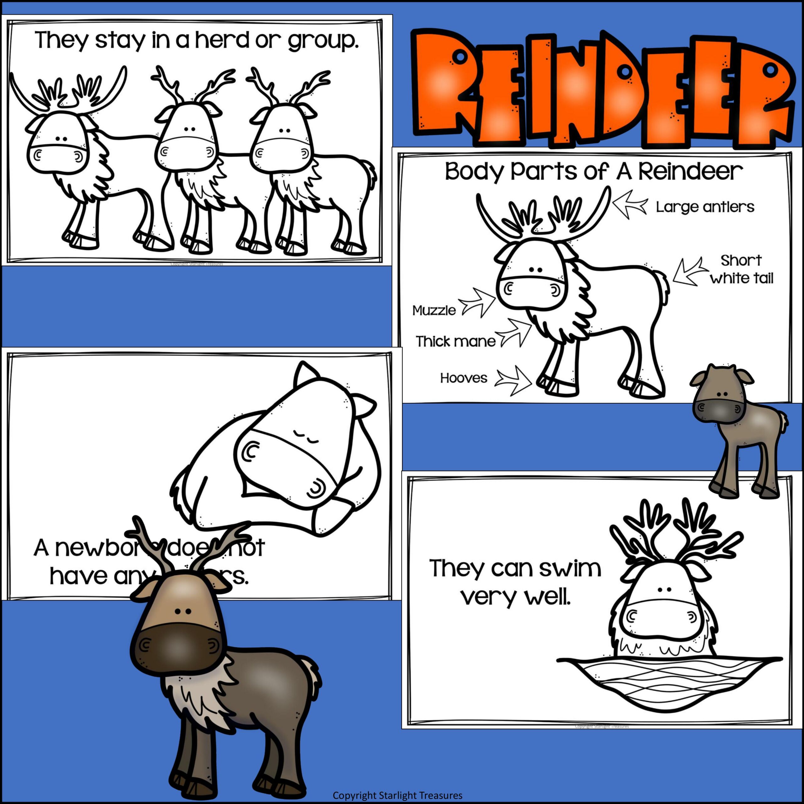 Reindeer Mini Book for Early Readers (Caribou) - Animal Study | Made By ...