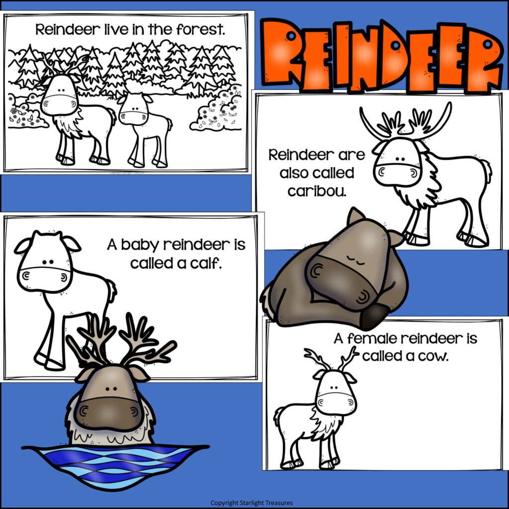 Reindeer Mini Book for Early Readers (Caribou) - Animal Study | Made By ...